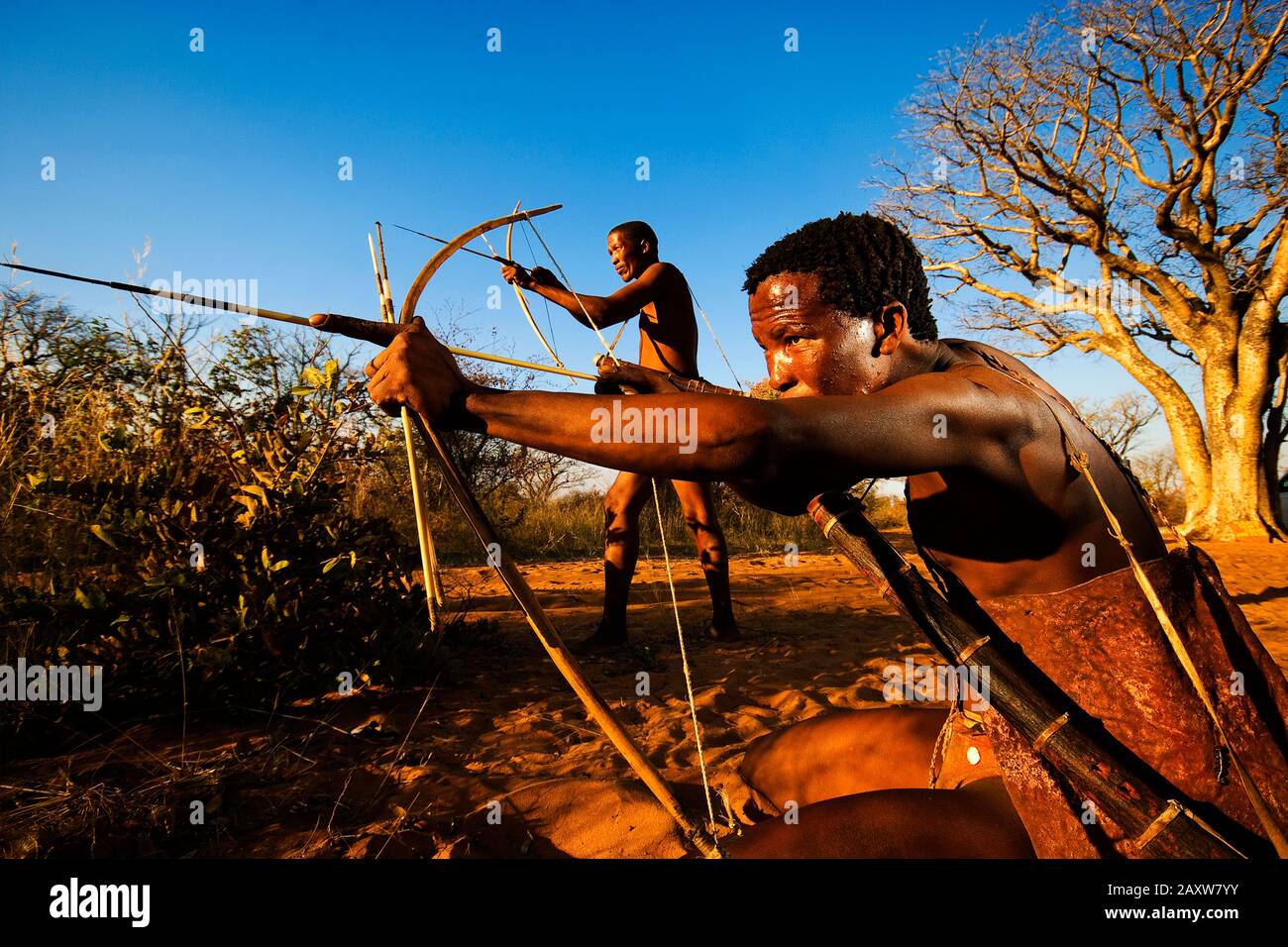 Bushmen simulating a hunt at Grashoek bushland, Namibia Stock Photo - Alamy