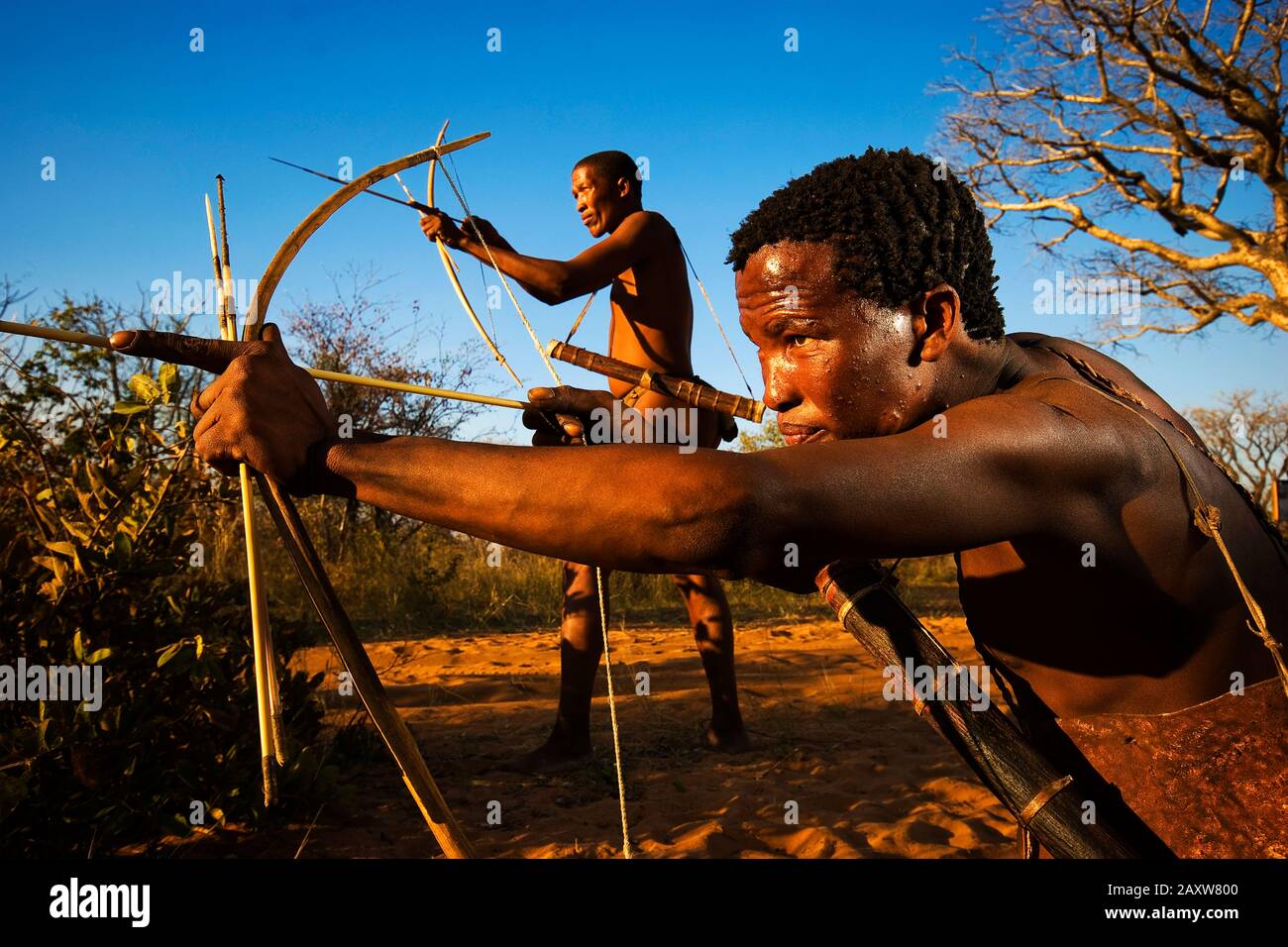 Bushmen simulating a hunt at Grashoek bushland, Namibia Stock Photo - Alamy