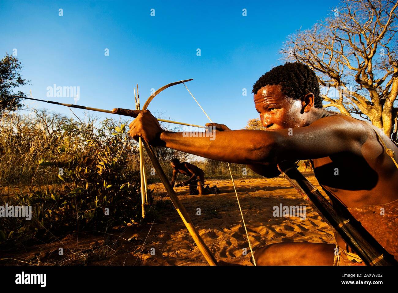 Bushmen simulating a hunt at Grashoek bushland, Namibia Stock Photo - Alamy