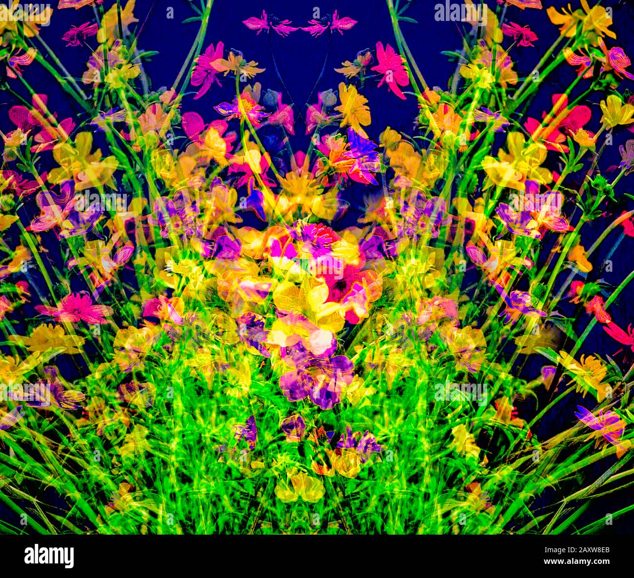 Multicolored flowers - abstract Stock Photo - Alamy