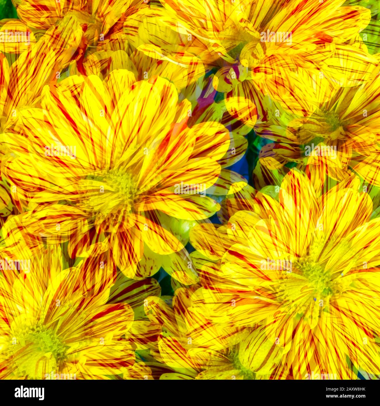 Abstract flowers daisy art yellow hi-res stock photography and images ...