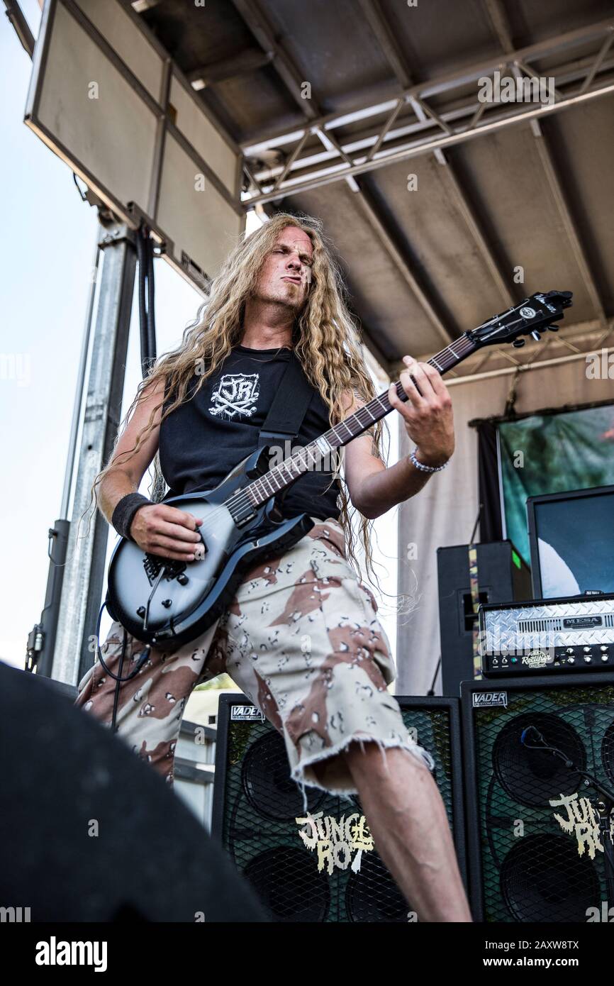 Jungle rot hi-res stock photography and images - Alamy