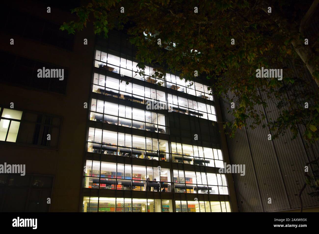 Female Library Night Study High Resolution Stock Photography and Images ...