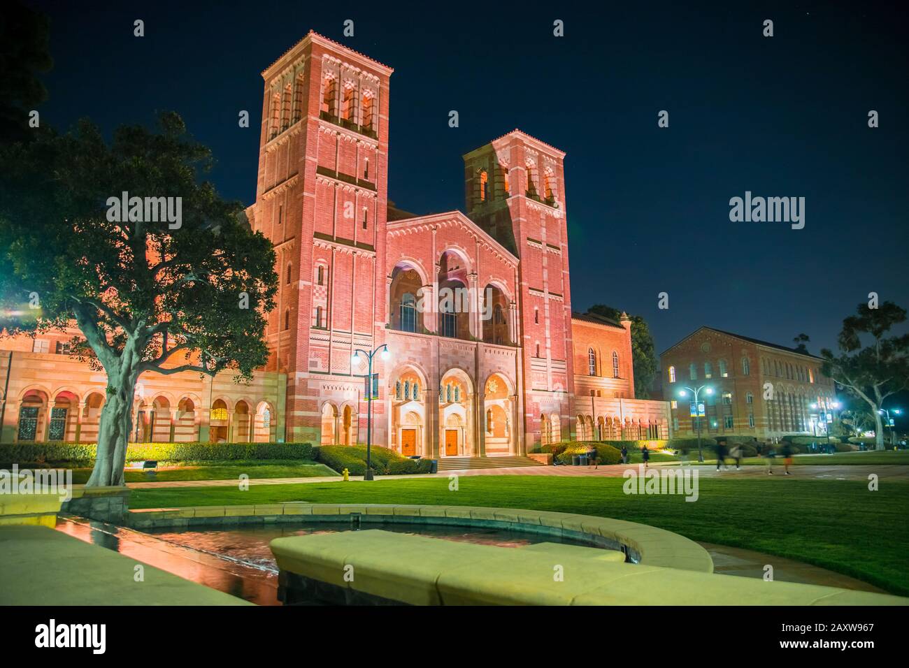 Ucla Campus At Night
