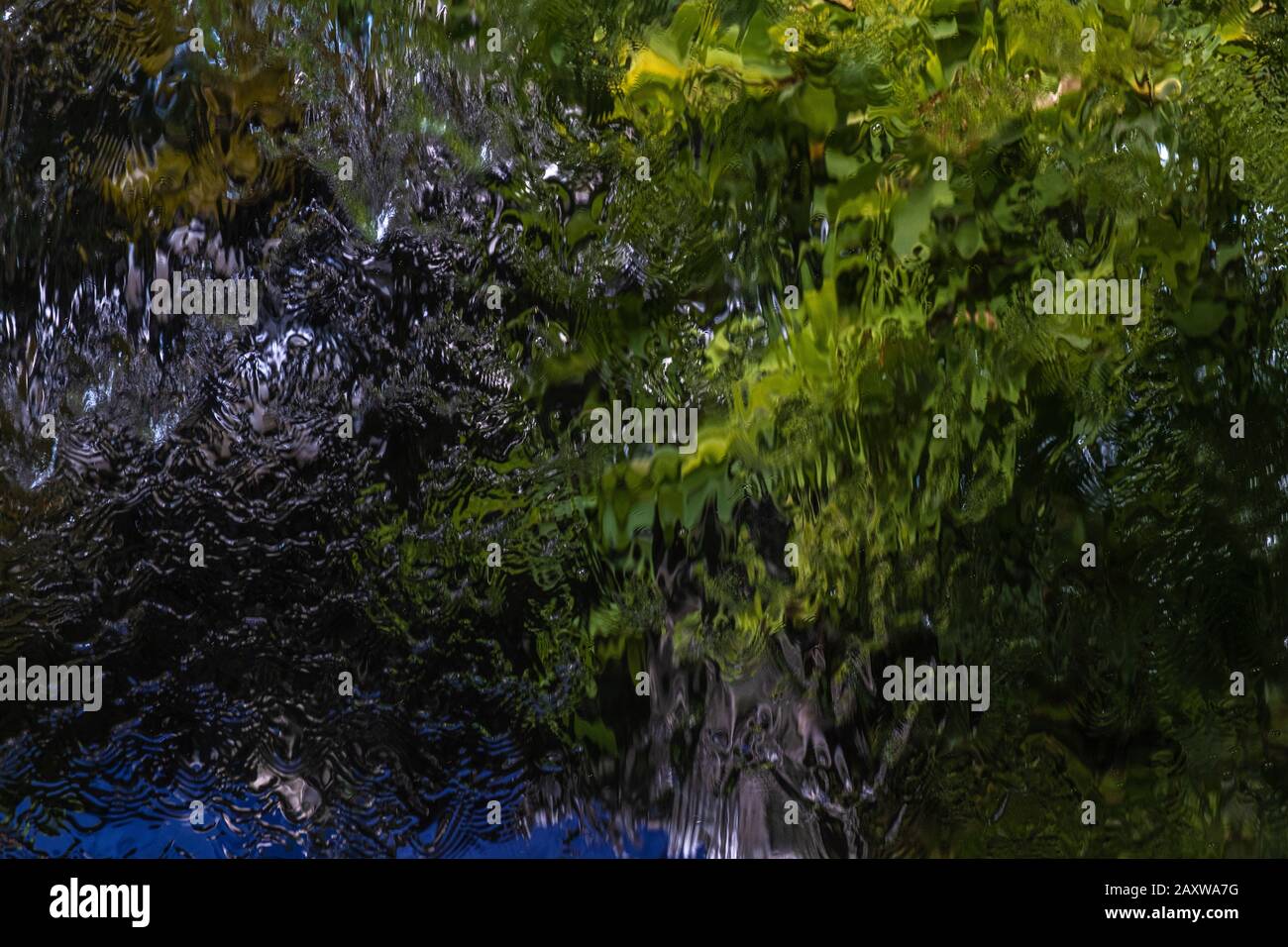 Abstract background of bright blurry multi-colored spots with the ...
