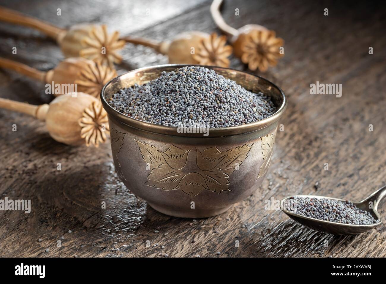 Poppy seeds in a vintage cup with pods in the background Stock Photo ...