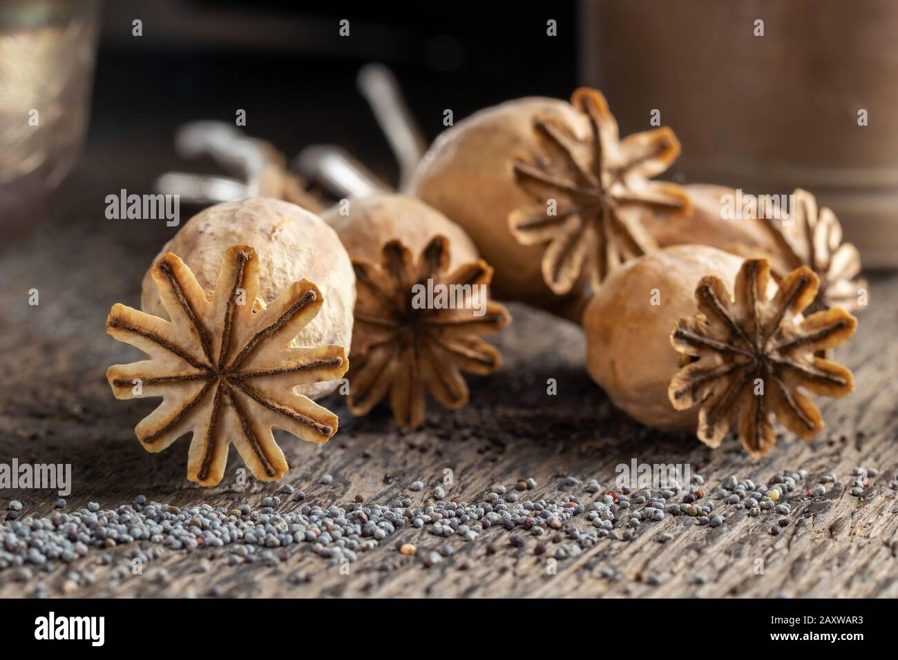 Poppyhead seeds hi-res stock photography and images - Alamy