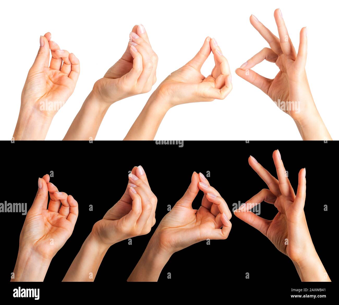 Set of woman hand holding something with two fingers Stock Photo - Alamy