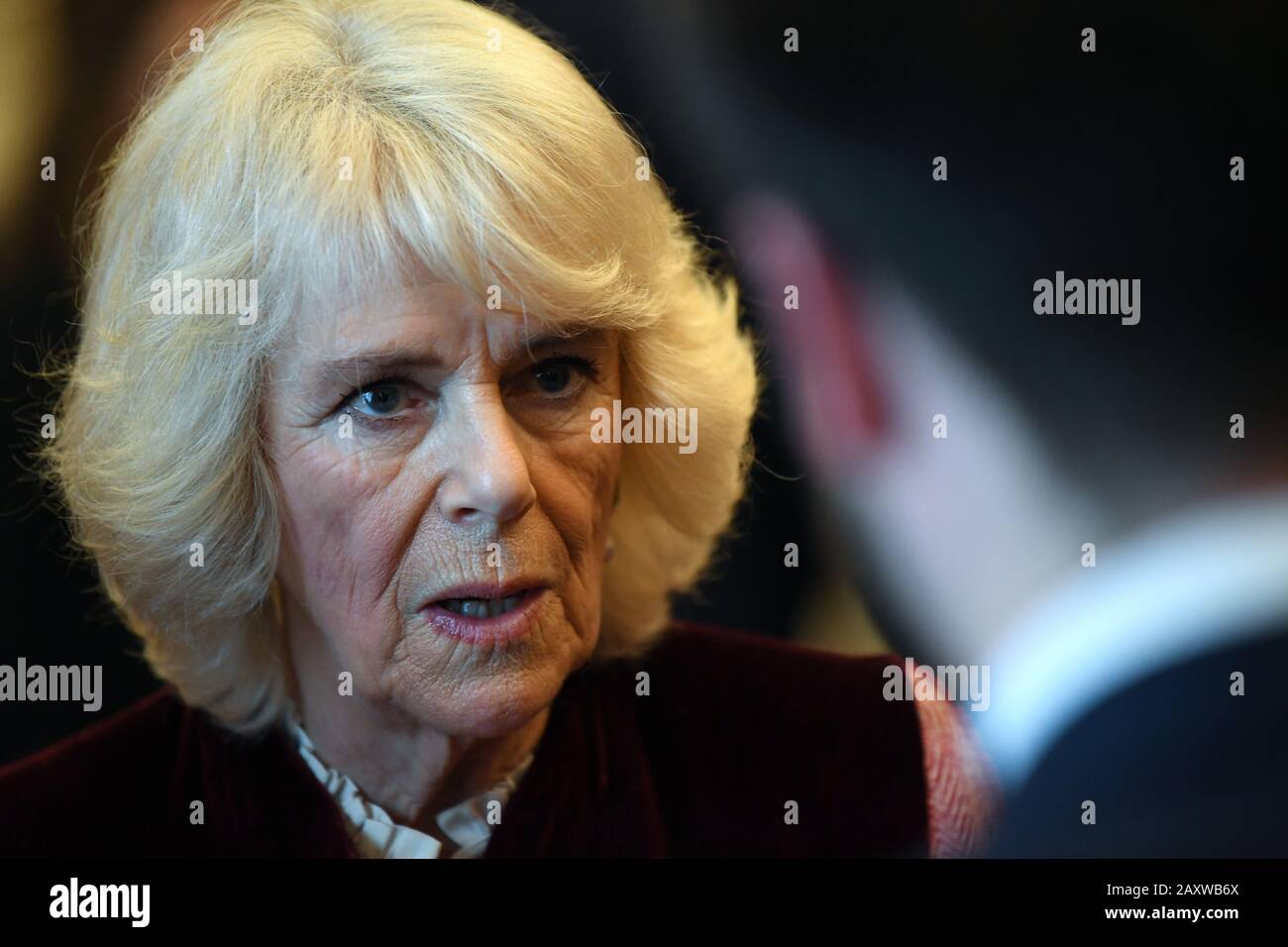 The Duchess of Cornwall during a visit to the Cabinet Office, Whitehall ...