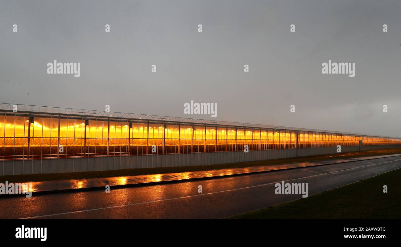View of one of the glasshouses at earth in birchington hi-res stock ...