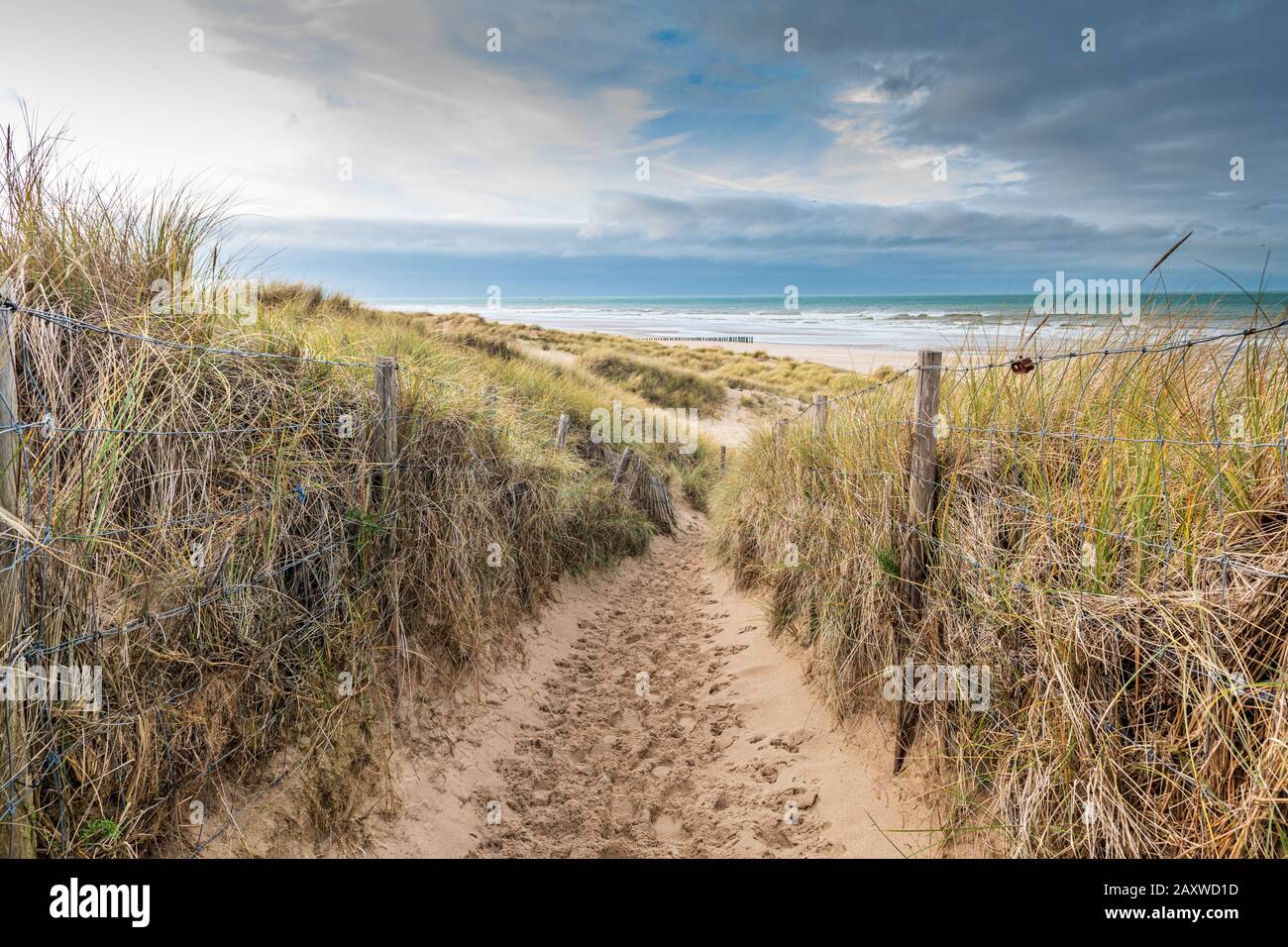 Dunes de la côte d'opale, Sangatte (62), France, Hauts de France ...