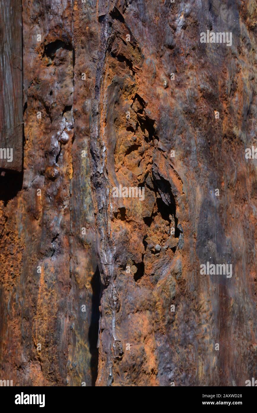 Old worn out gear hi-res stock photography and images - Alamy