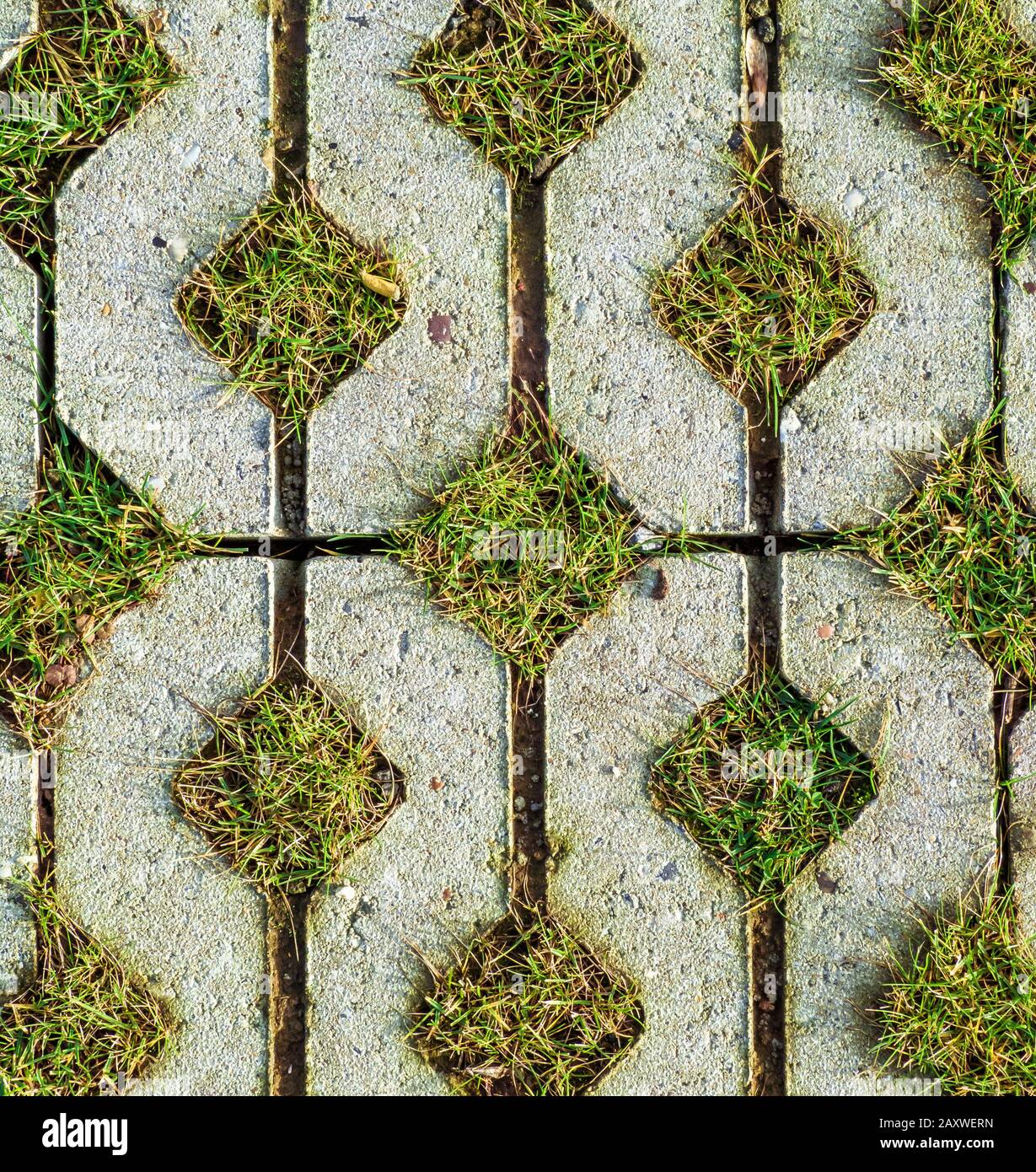 Patches of green grass pattern between pavement stones, top view Stock ...