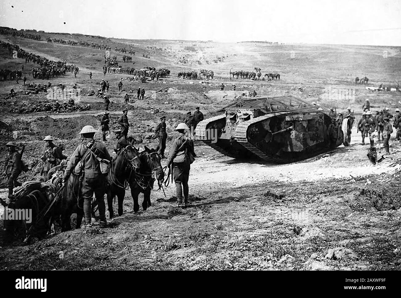 Technology and the Weapons of the First World War, 1914-1918 Stock ...