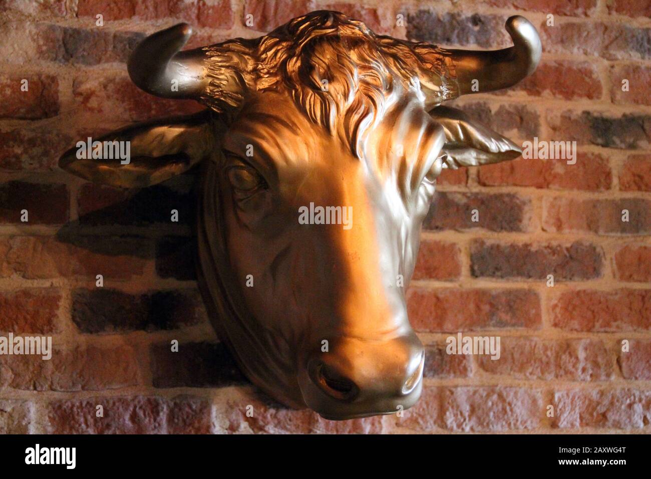 Golden cow hi-res stock photography and images - Alamy