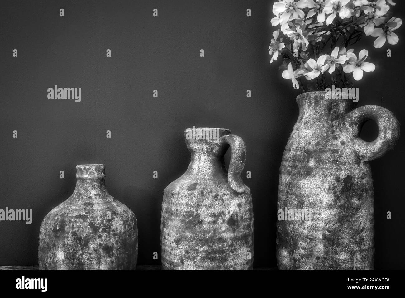 White flowers in concrete rustic pots near dark grey wall, modern ...