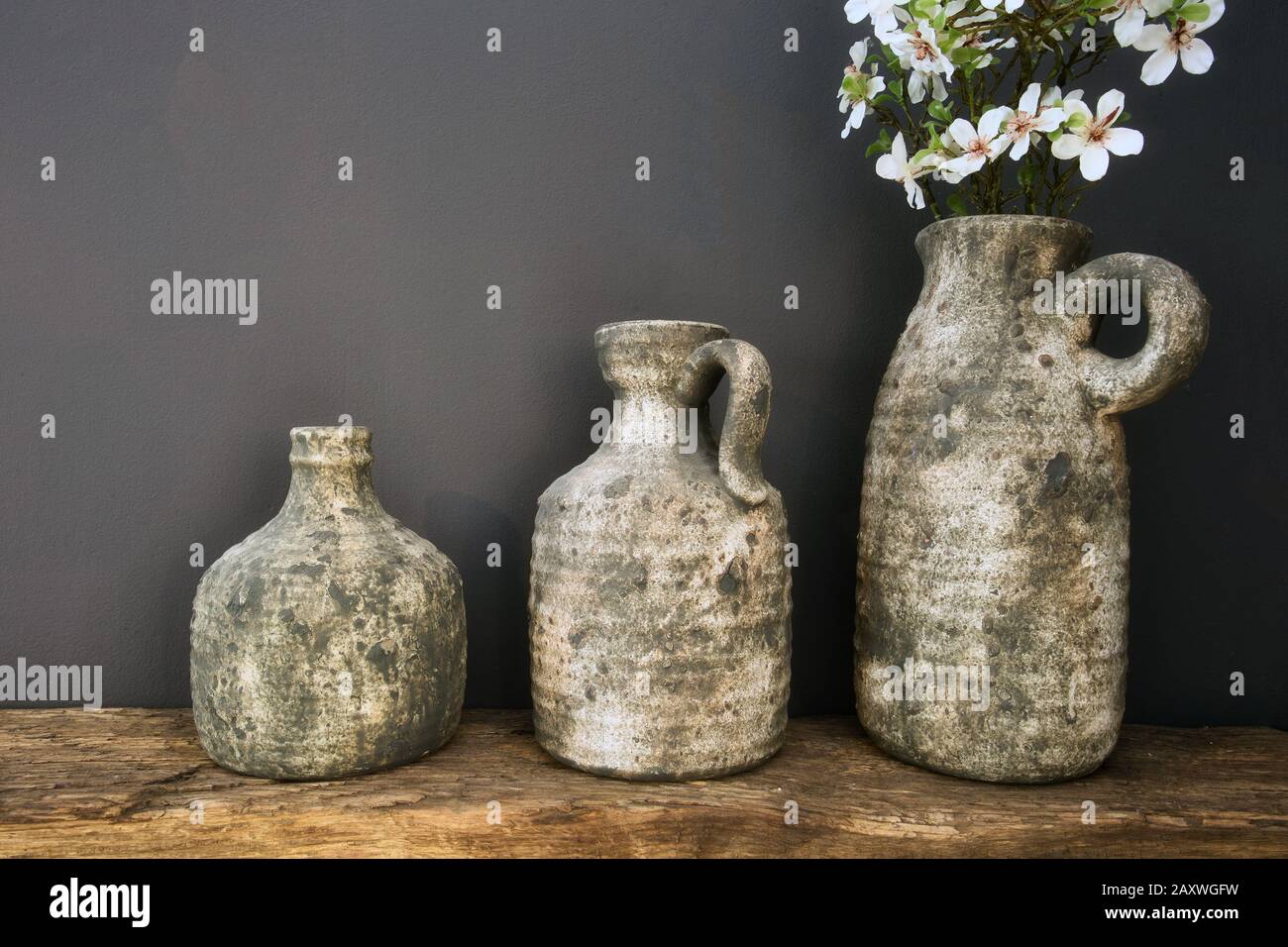White flowers in concrete rustic pots near dark grey wall, modern ...