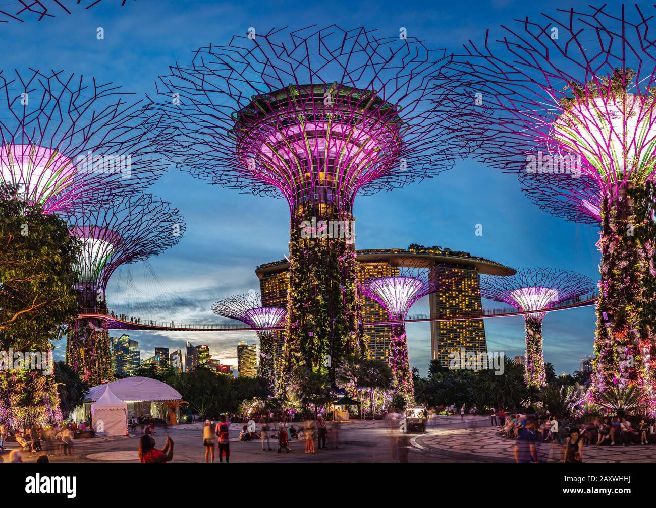 SINGAPORE, SINGAPORE - CIRCA SEPTEMBER, 2017: Night view of Supertree Grove at Gardens by the ...