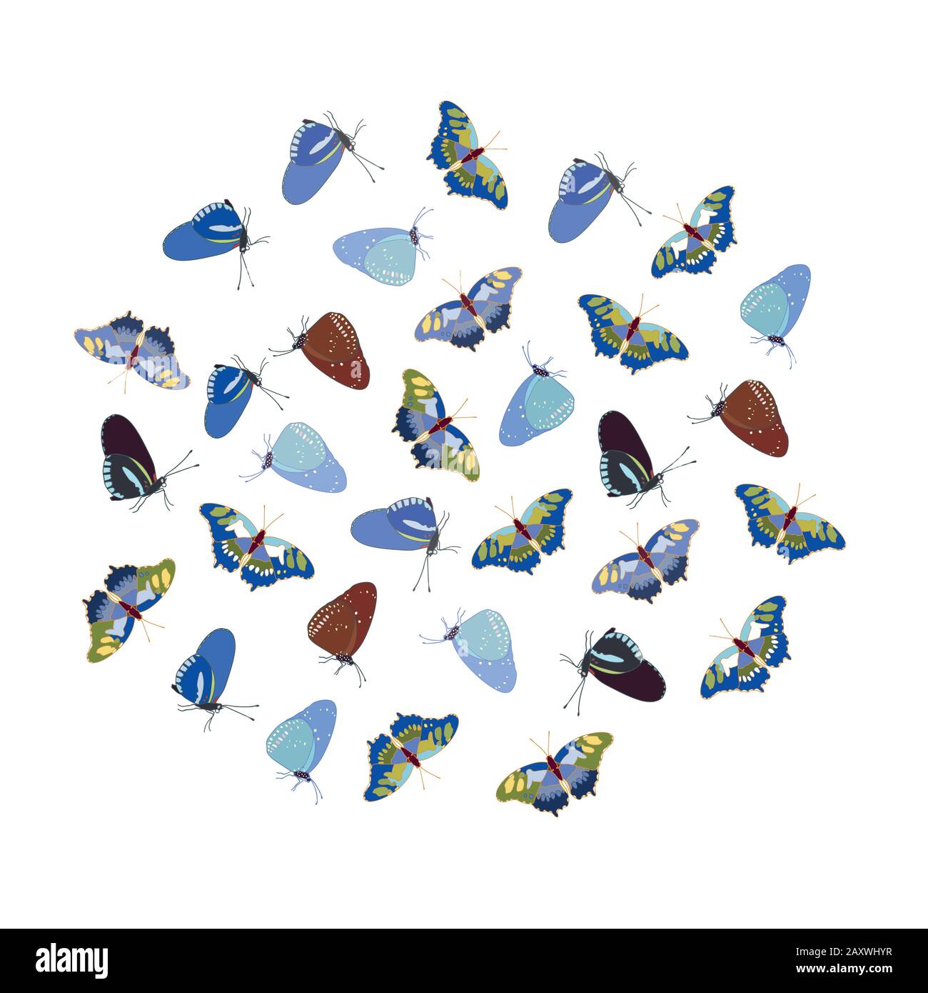 Vector realistic butterfly illustration set with tomato plant, frog and ... Vector realistic butterfly illustration set with tomato plant, frog and ...
