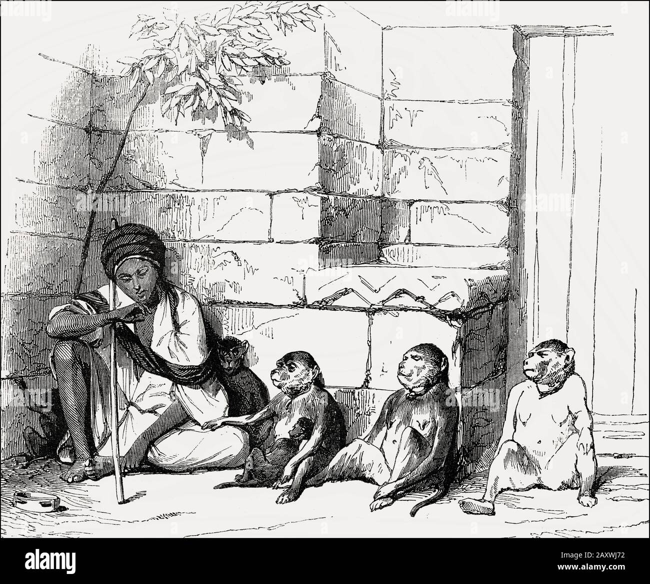 monkey dealer, Cairo, Egypt, 19th Century Stock Photo - Alamy