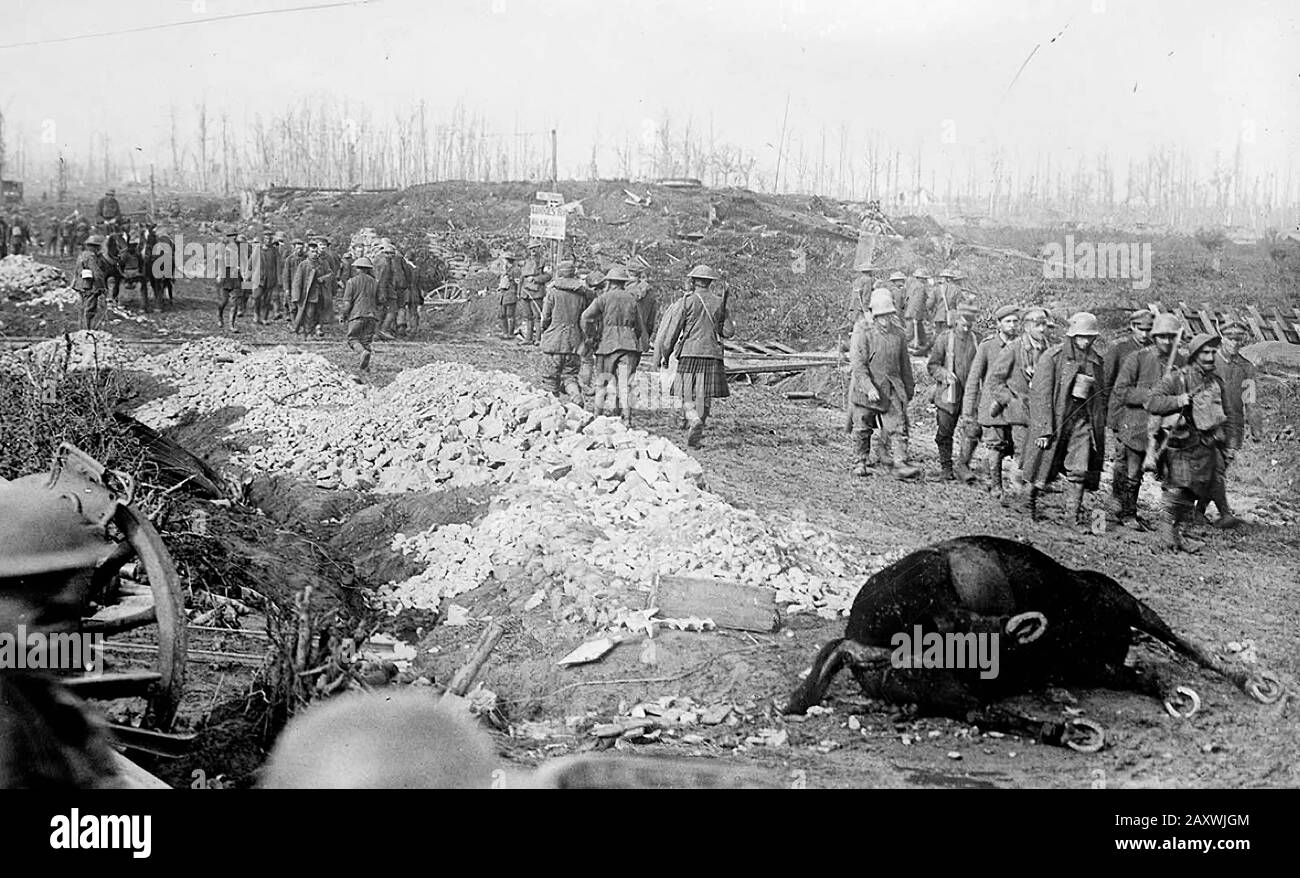 Photograph from the first world war taken between 1914 to 1918 Stock ...