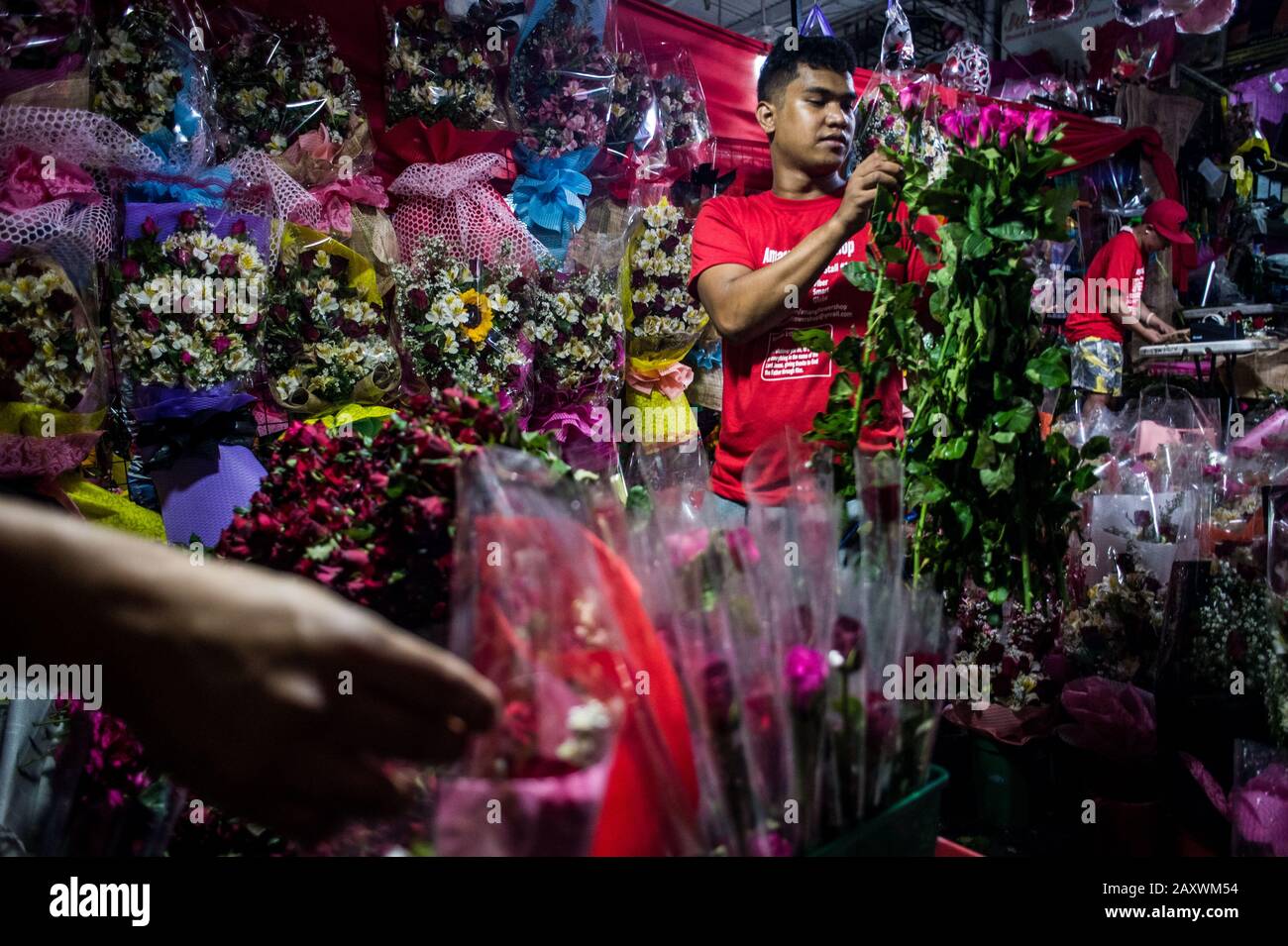 Lisa marie david hi-res stock photography and images - Alamy