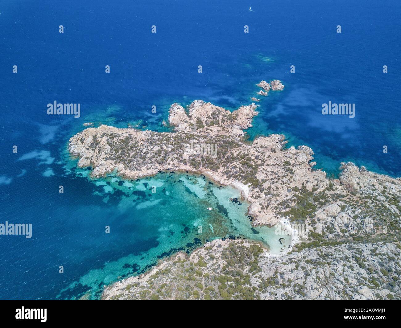 Caprera napoletana hi-res stock photography and images - Alamy