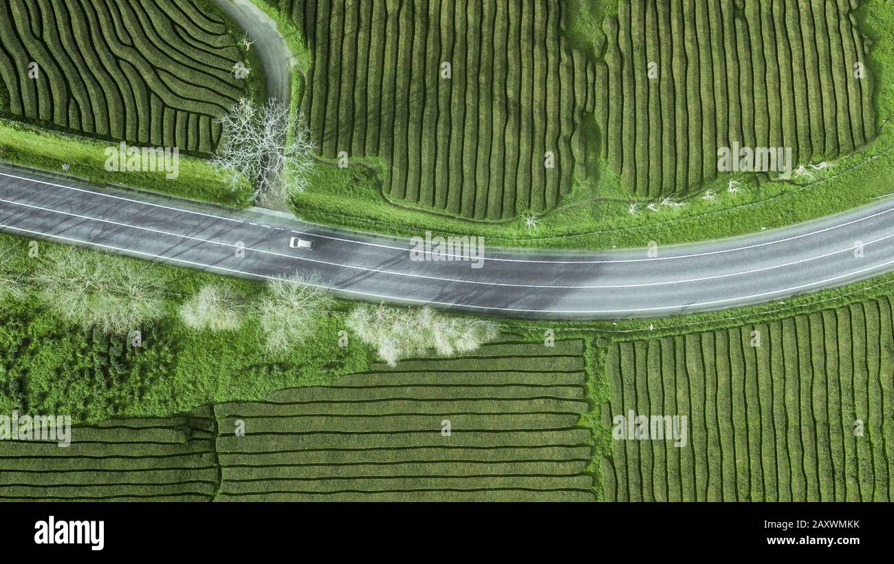 Agriculture In Portugal High Resolution Stock Photography and Images ...