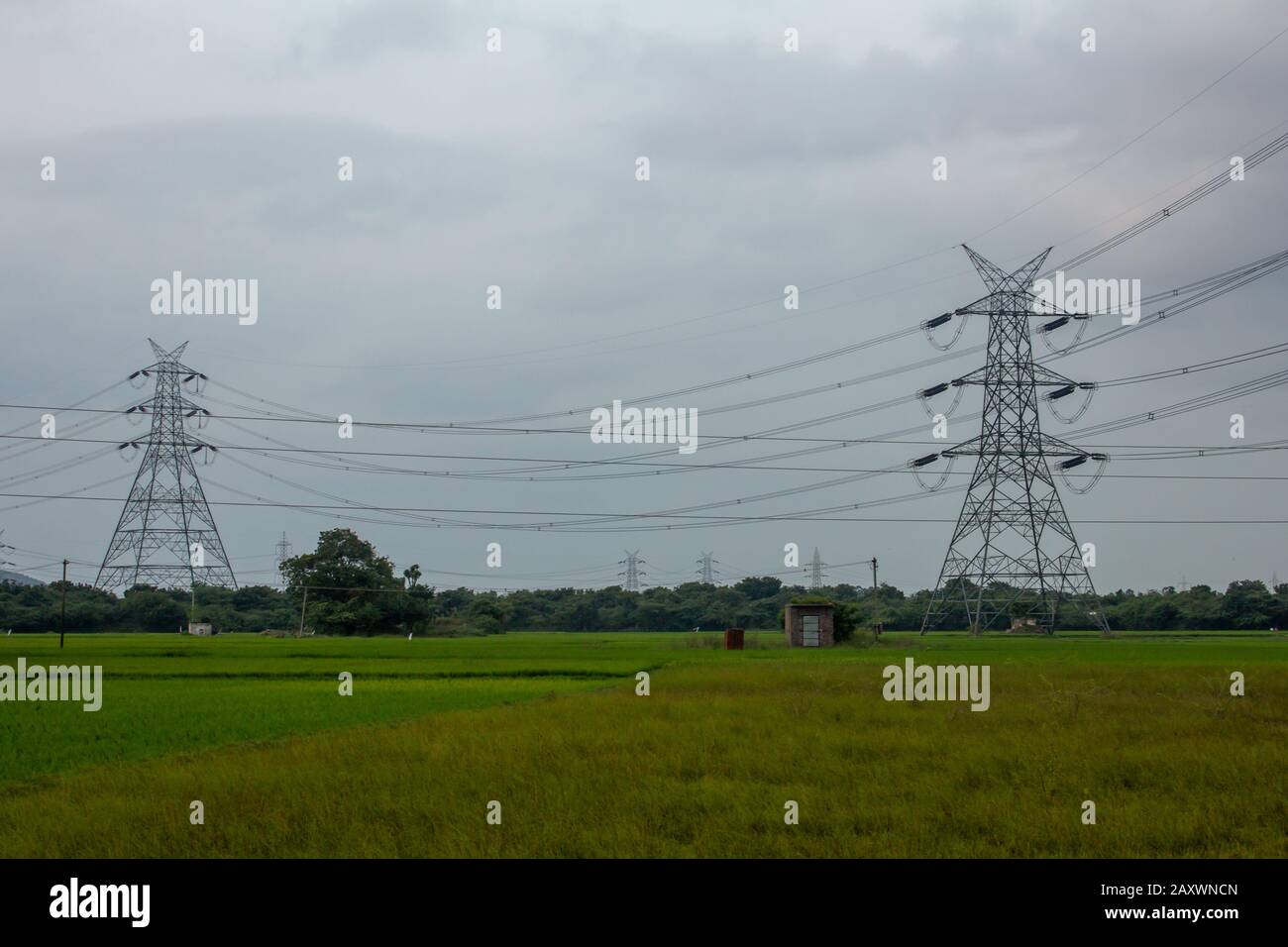 View of electricity pylon along the paddy fields, tamil nadu, India ...