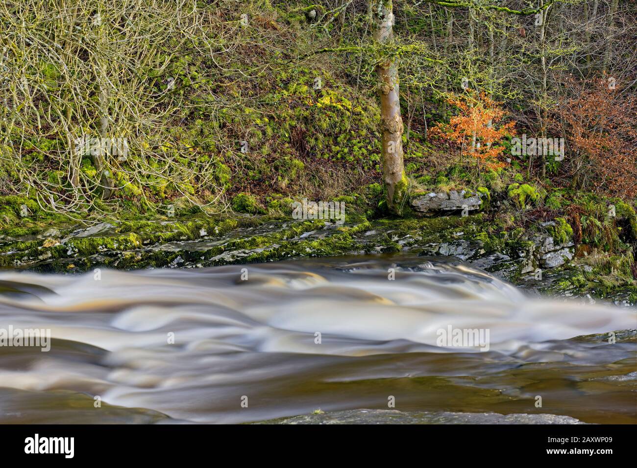 Stainforth Force waterfall North York Moors, Yorkshire Stock Photo - Alamy