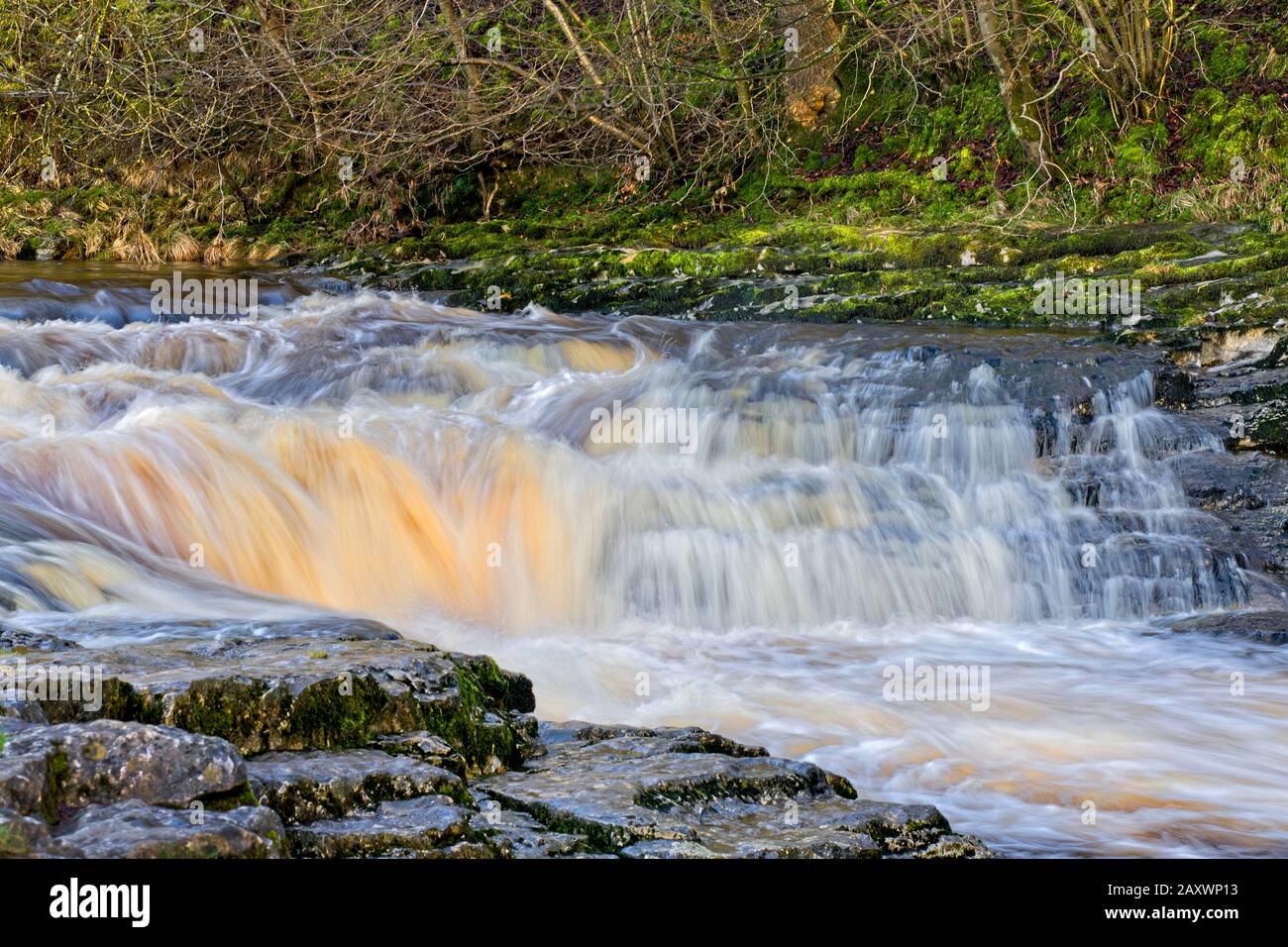 Stainforth Force waterfall North York Moors, Yorkshire Stock Photo - Alamy