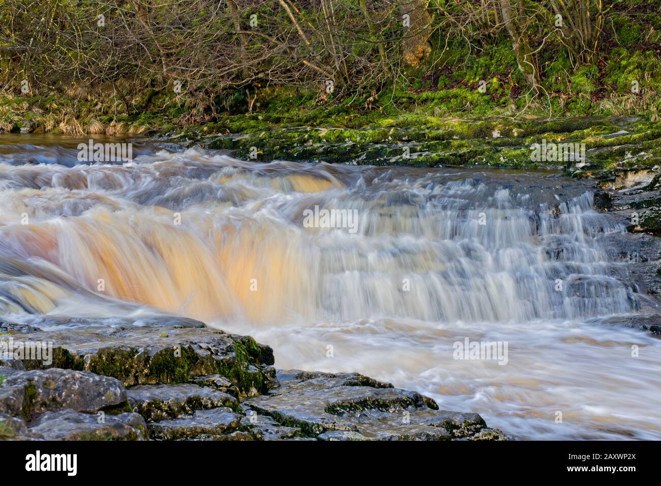 Stainforth Force waterfall North York Moors, Yorkshire Stock Photo - Alamy