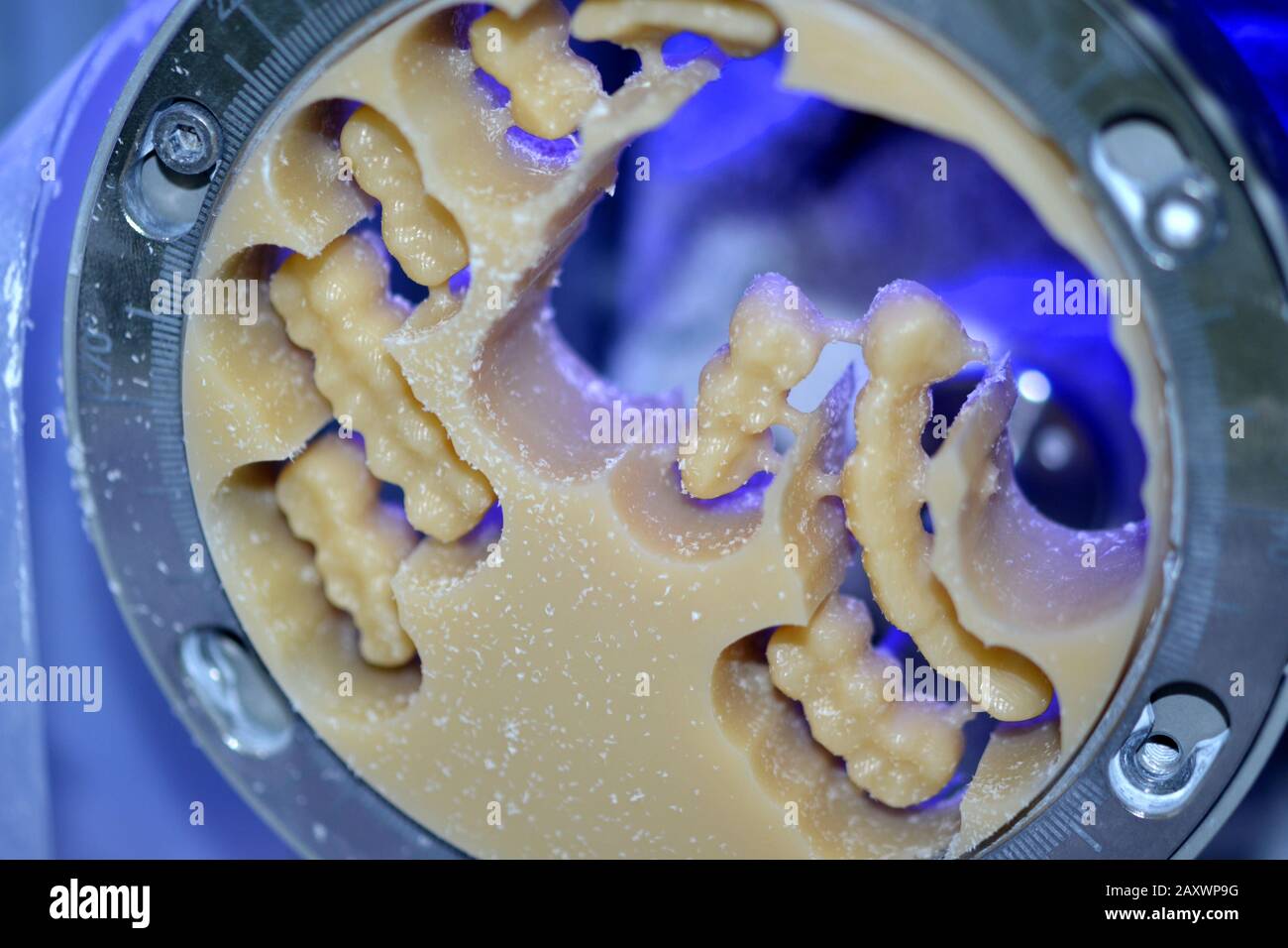 Dental milling machine carving out shape of human teeth close-up ...