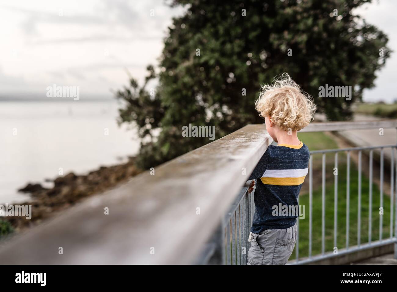 Curly haired child looking over railing in Napier, New Zealand Stock ...