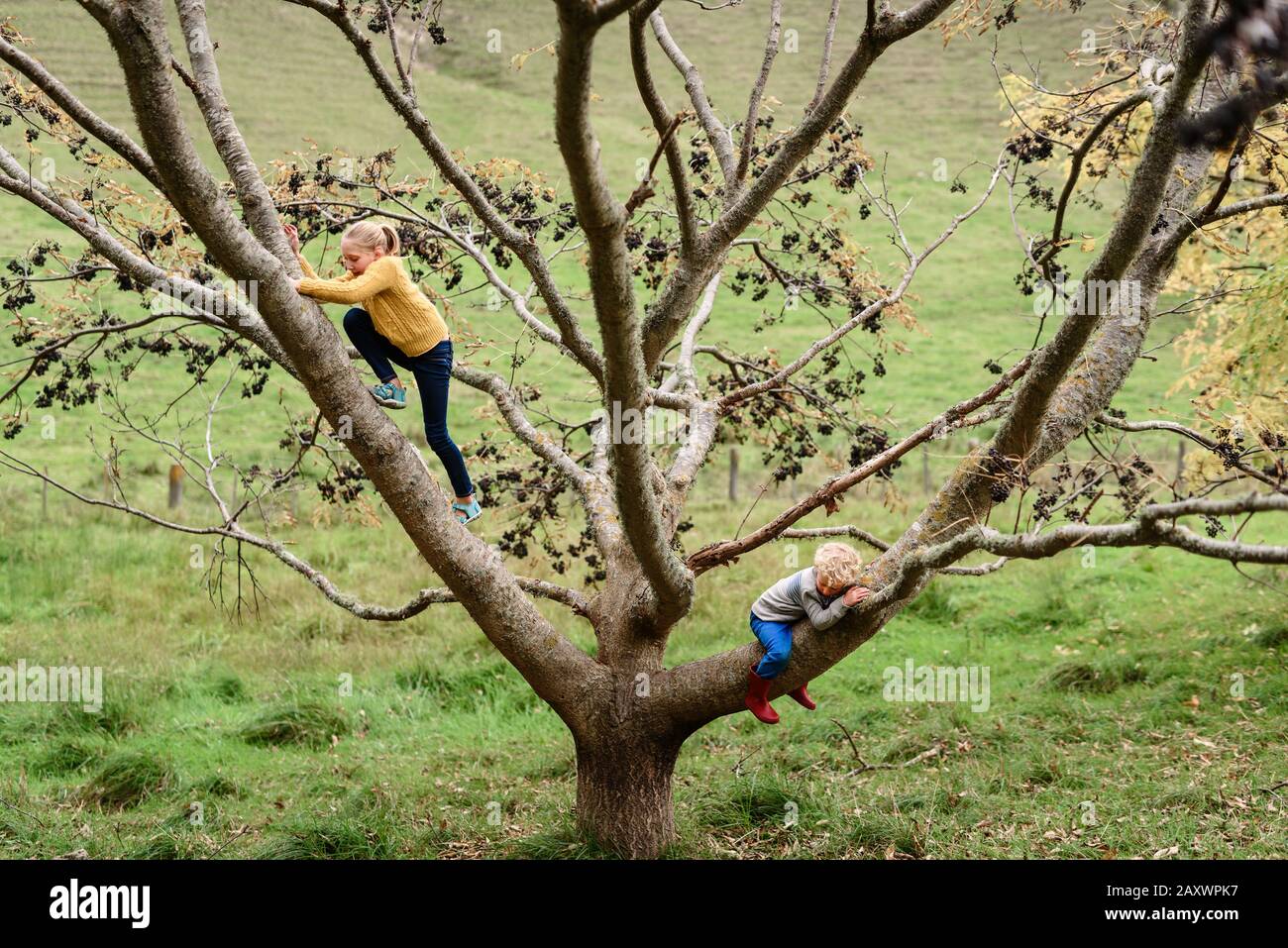 Aged 7 10 years hi-res stock photography and images - Alamy