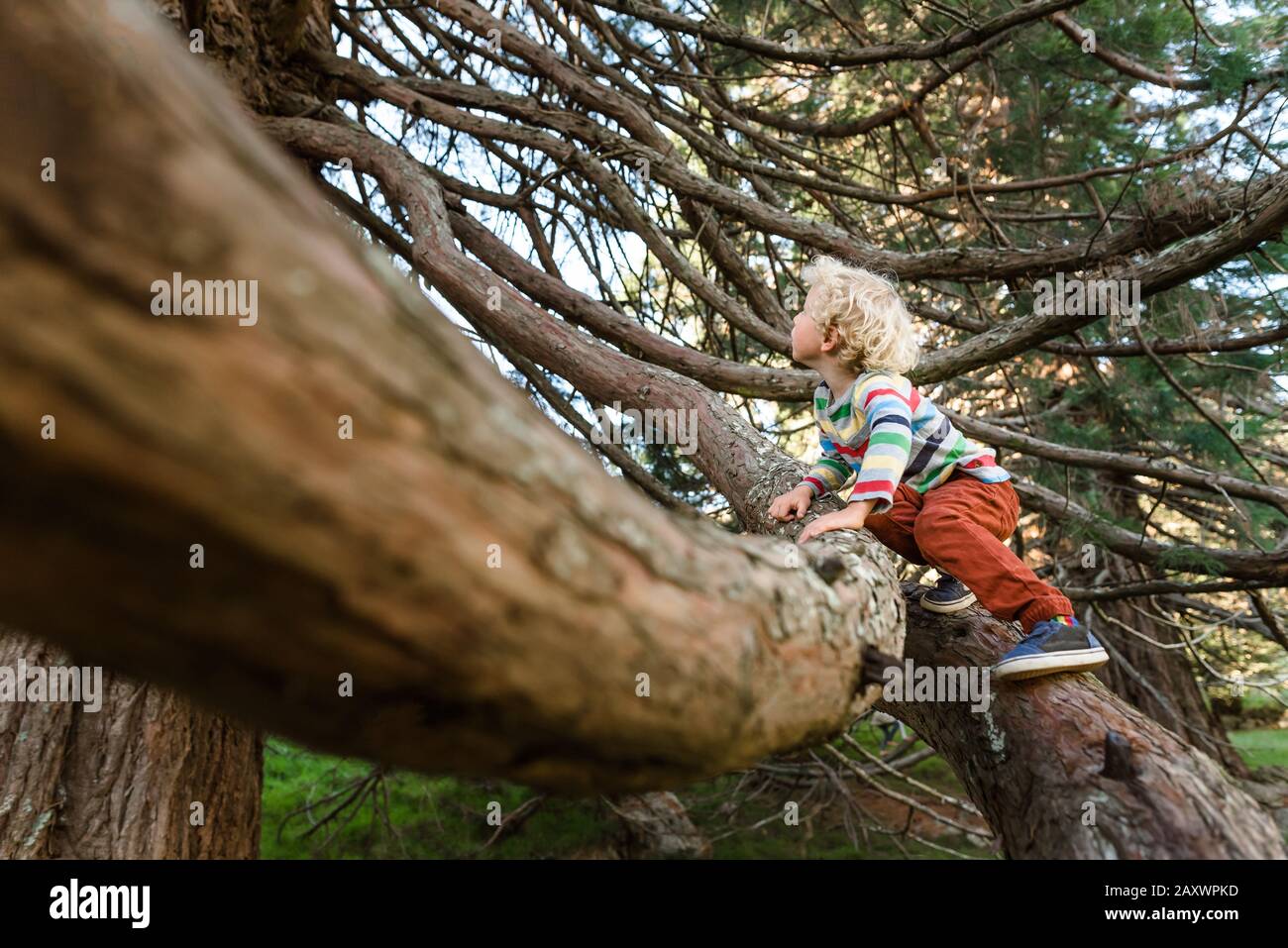 New zealand school kids hi-res stock photography and images - Alamy
