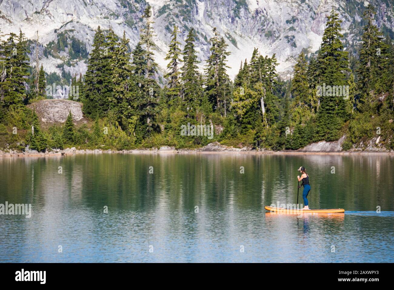 Side view of active woman paddle boarding on mountain lake Stock Photo ...
