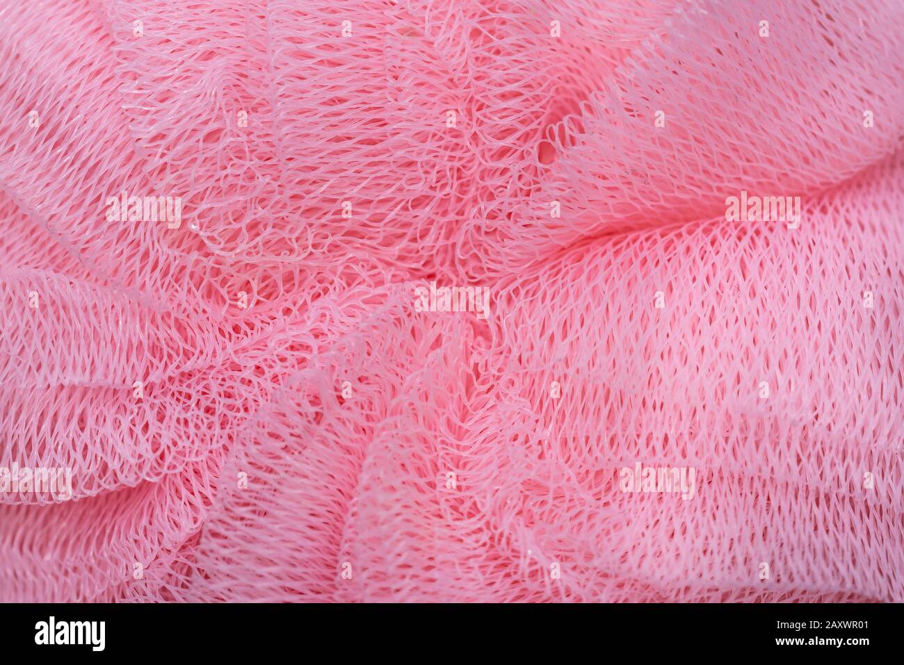 Pink shower puff close up Stock Photo - Alamy