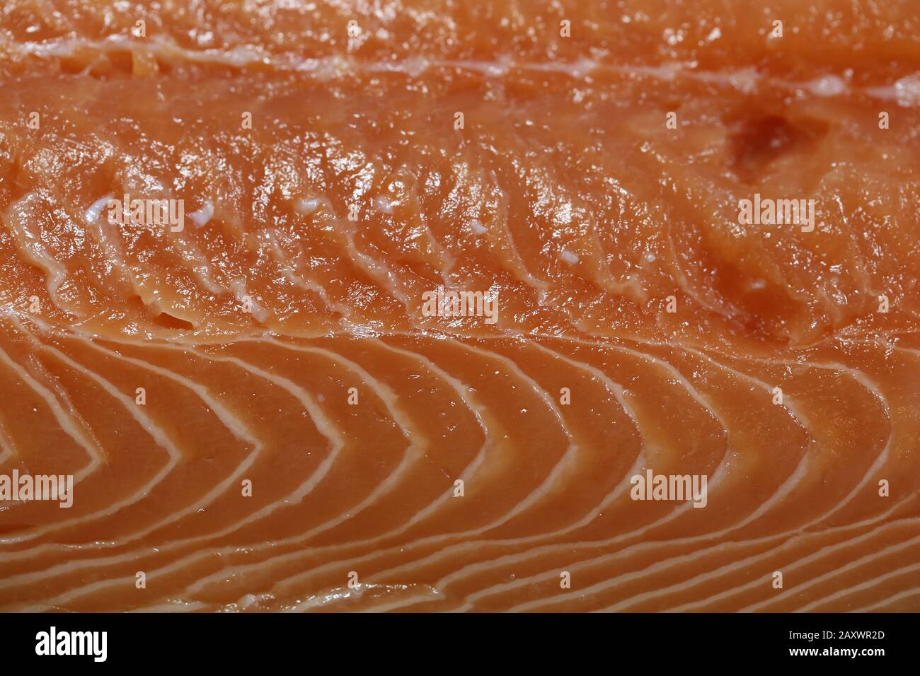 Norwegian salmon fillet in a closeup. Beautiful red color and texture ...