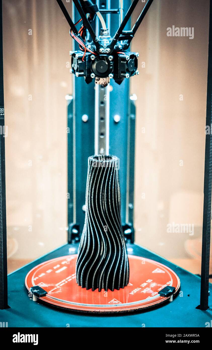 The model object printed on the 3d printer is inside the 3d printer ...