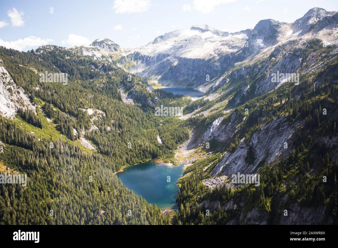 Montane forest and alpine lake hi-res stock photography and images - Alamy