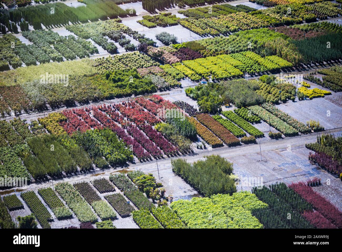 Farm trees growing crops aerial hi-res stock photography and images - Alamy