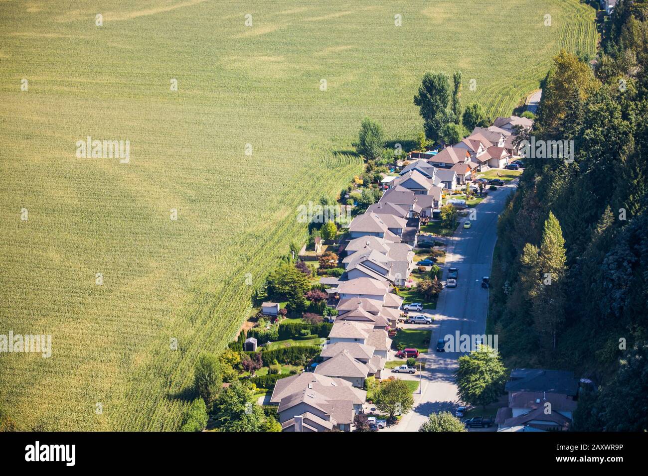 Urban development on the edge of a farm field Stock Photo - Alamy