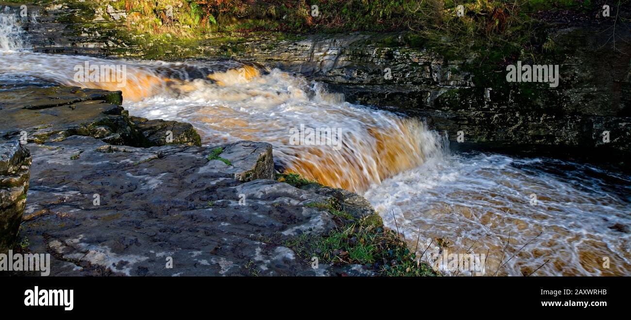Stainforth Force waterfall North York Moors, Yorkshire Stock Photo - Alamy