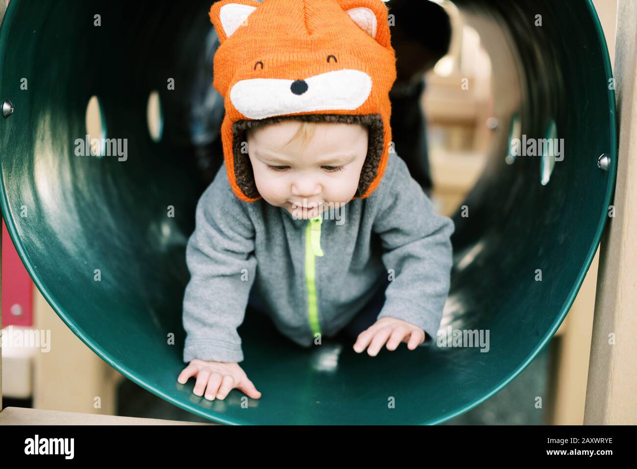 Hat Fox Face High Resolution Stock Photography and Images - Alamy