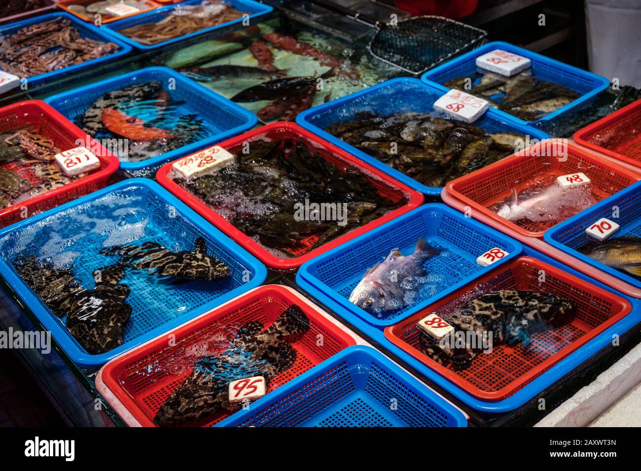 Hong kong fish market hi-res stock photography and images - Alamy