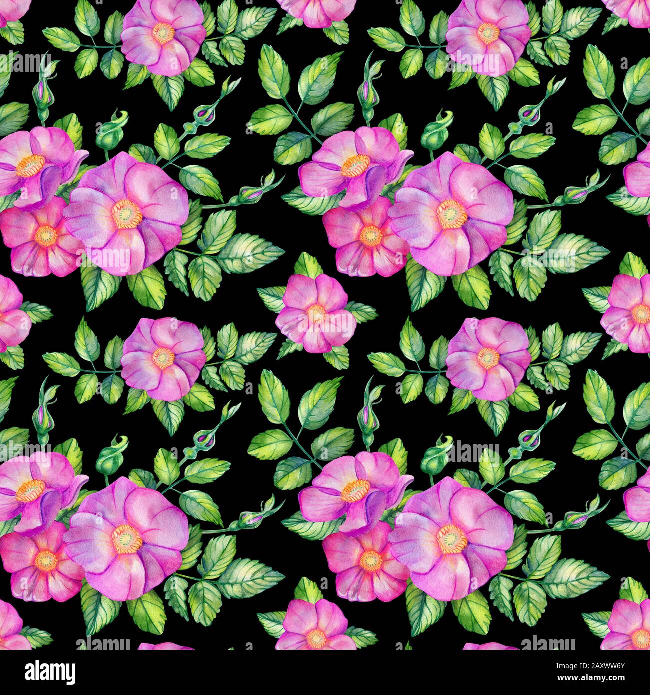 The bud of rose hips hi-res stock photography and images - Alamy