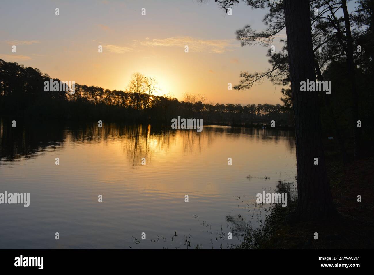 Lake in georgia hi-res stock photography and images - Alamy