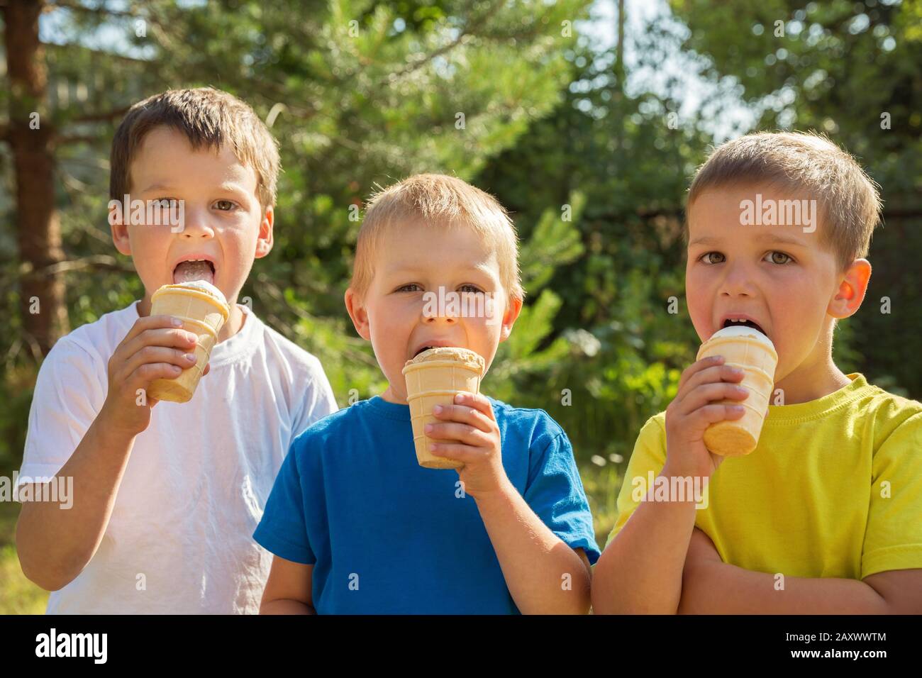 Three little brothers together outdoors in summer. Kids or children ...