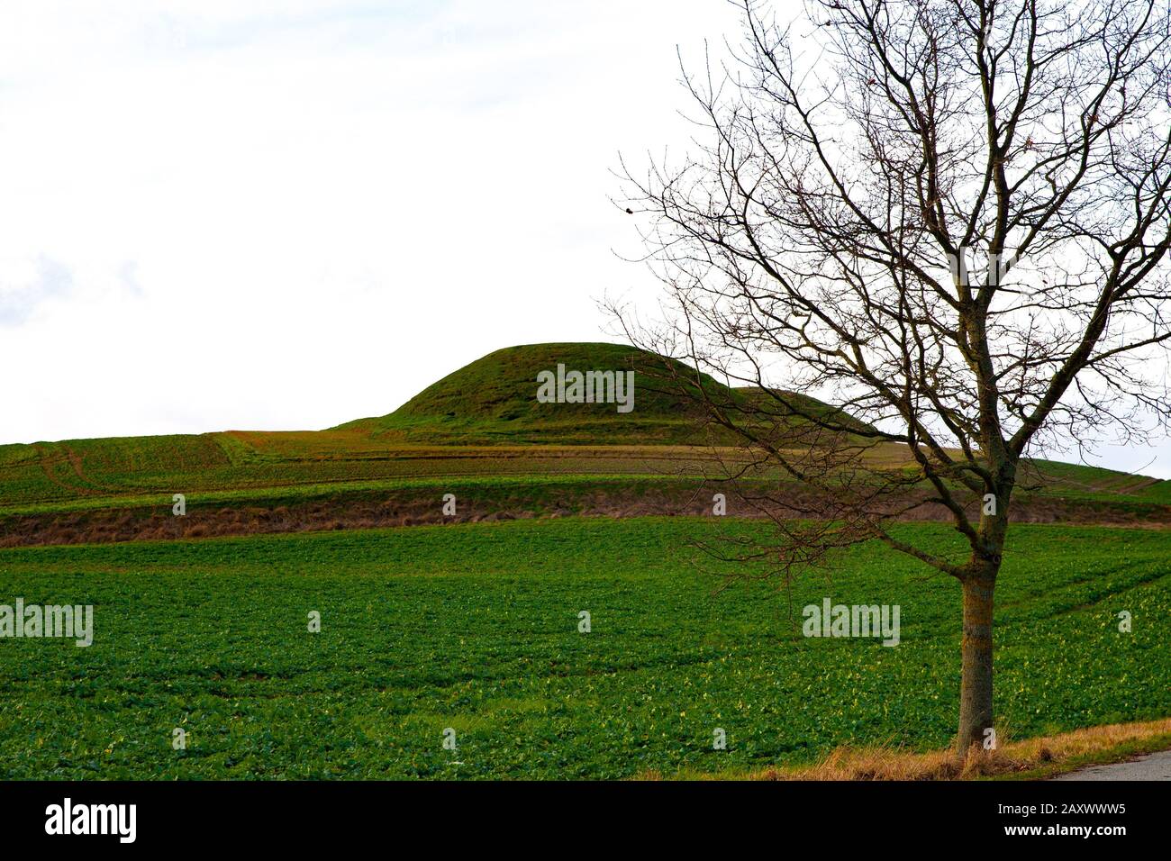 Oxie malmo hi-res stock photography and images - Alamy